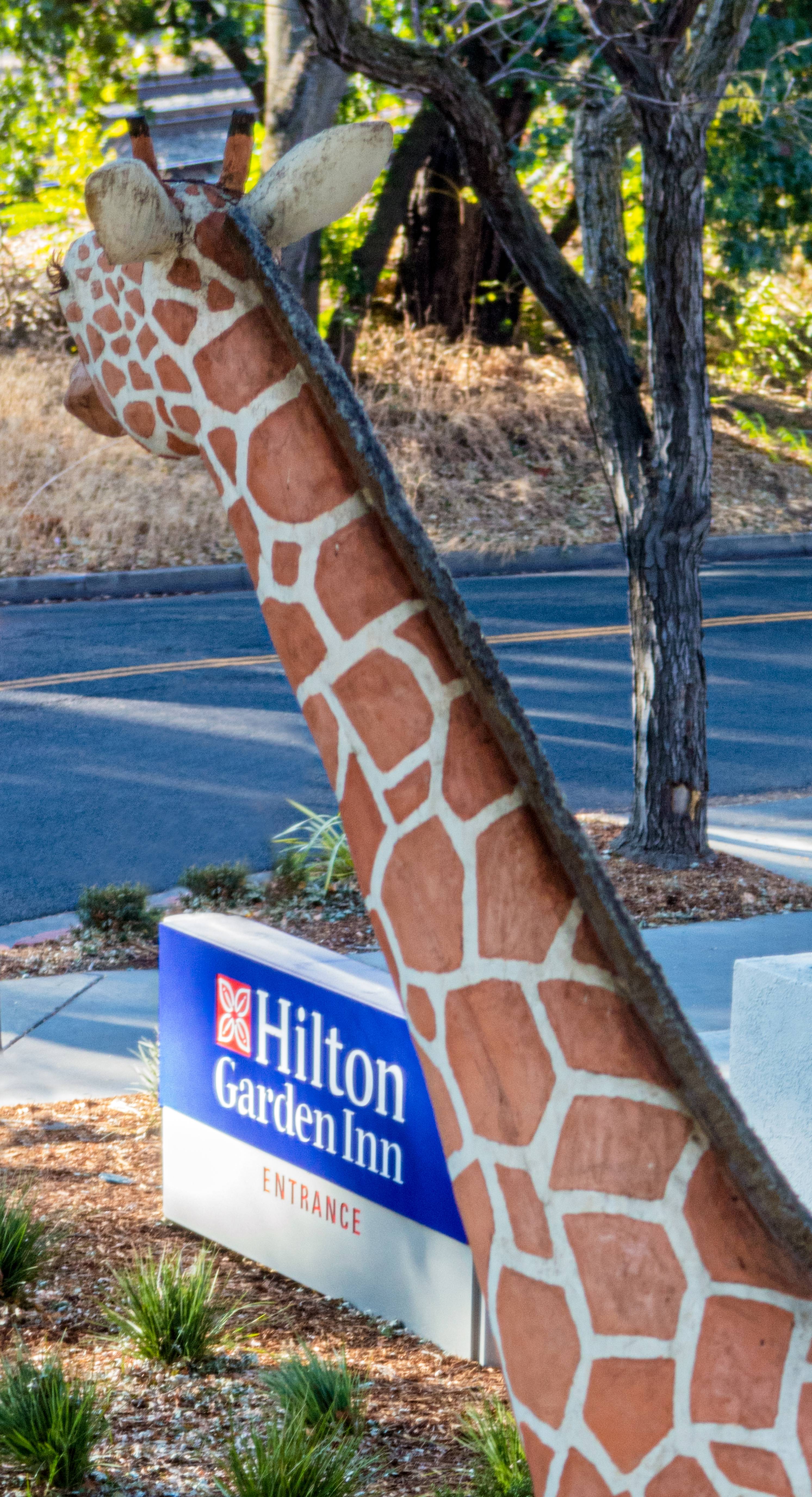 Hilton Garden Inn Davis Downtown, Davis, CA : hotel during the day ...