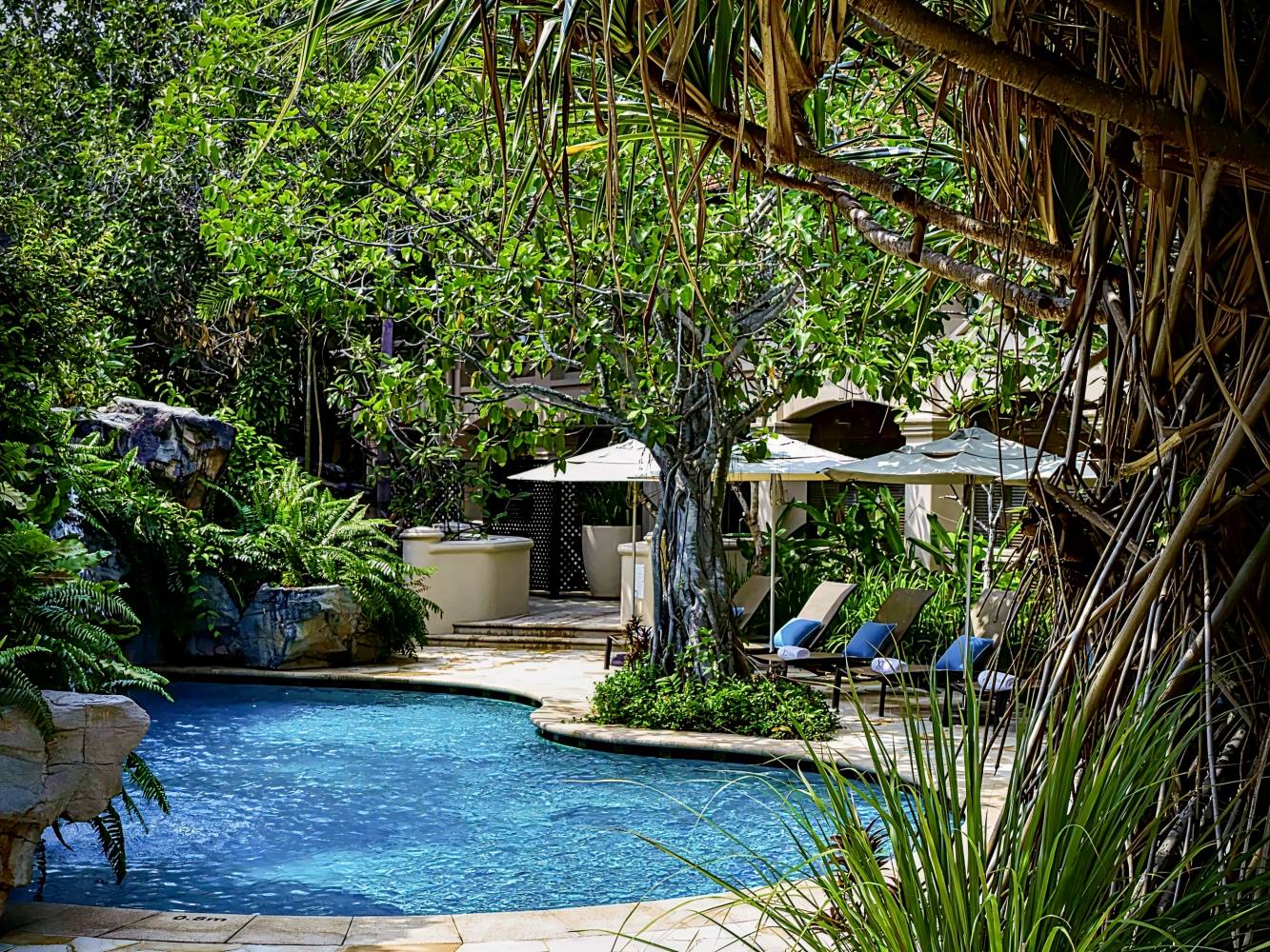 Sofitel Singapore Sentosa Resort & Spa, Sentosa Island : -34% during ...