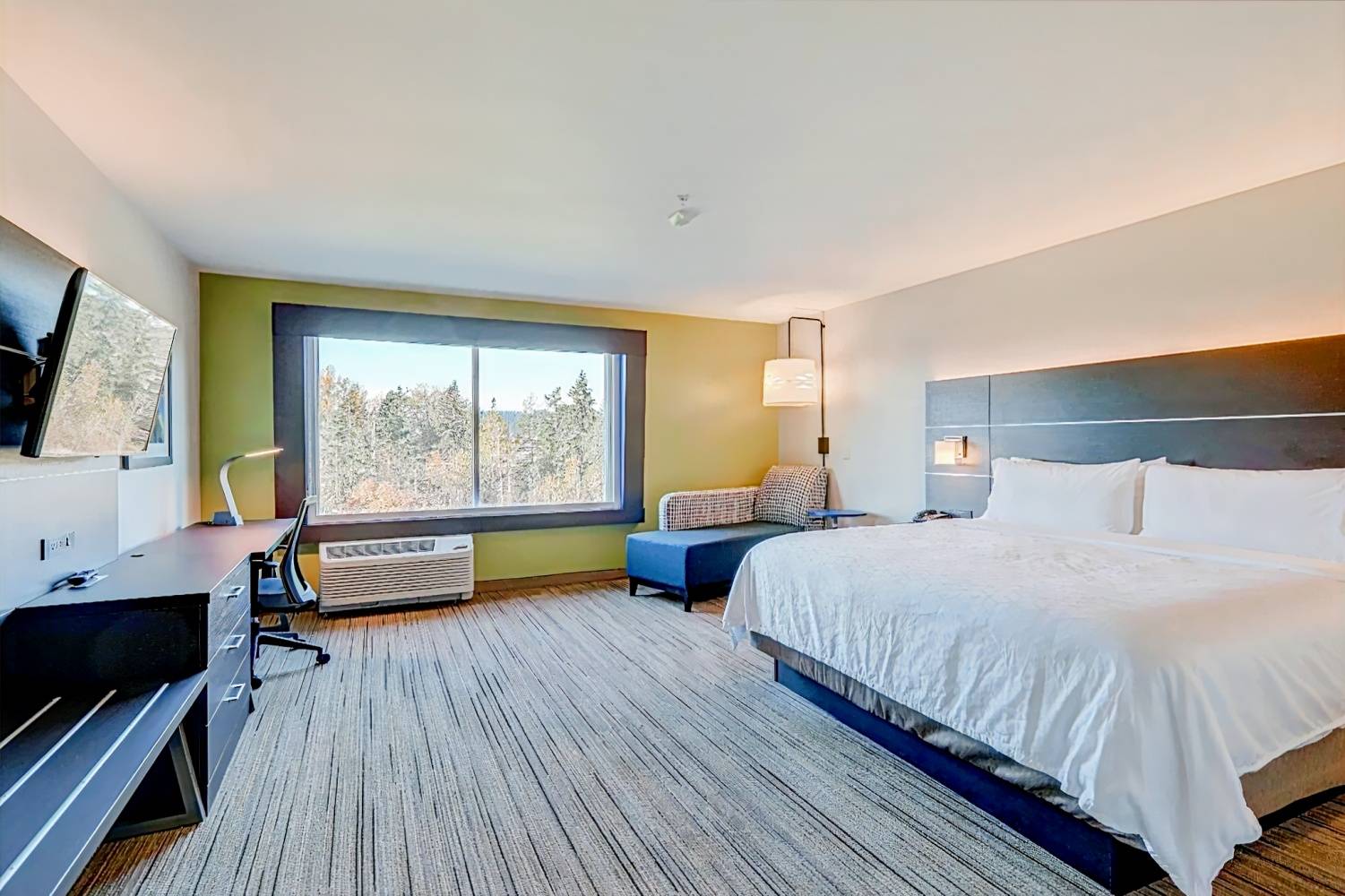 Holiday Inn Express & Suites - Auburn Downtown, Auburn : -25% en ...