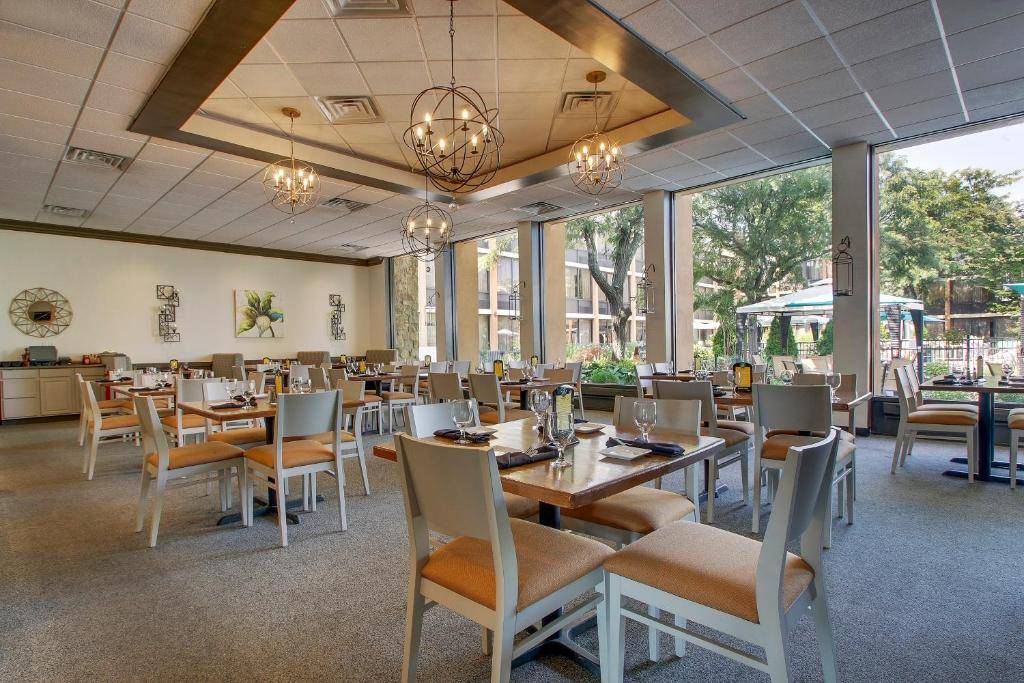 Book the Best Daycation Hotels Near You