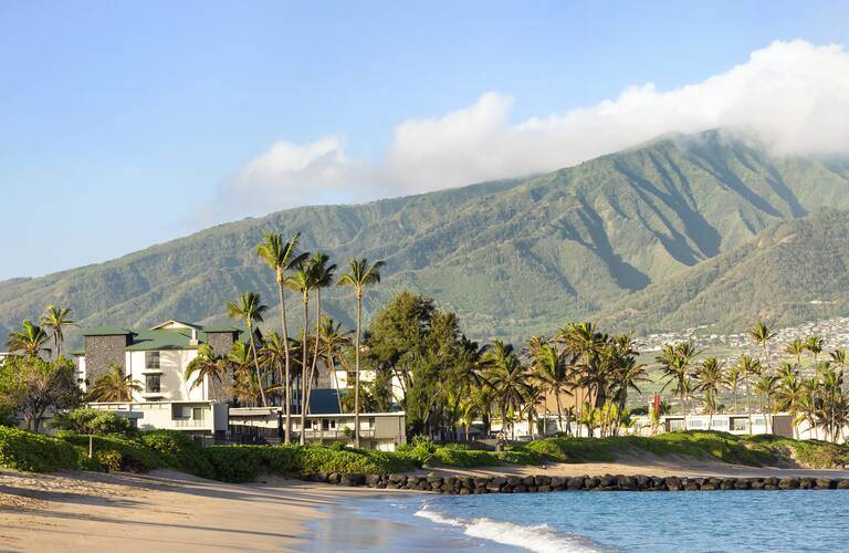Hampton Inn & Suites Maui North Shore, Kahului : -44% during the day ...