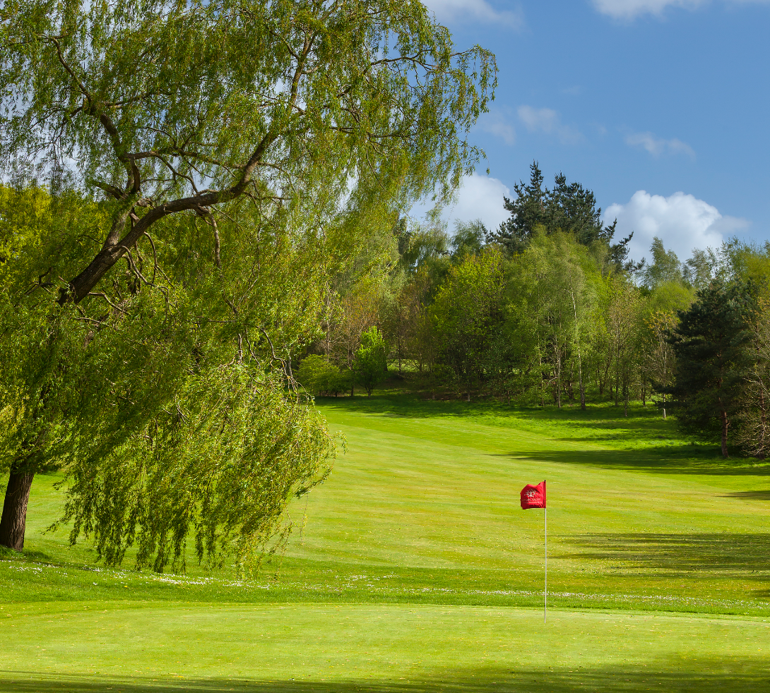 Meon Valley Hotel & Country Club, Shedfield : hotel during the day ...